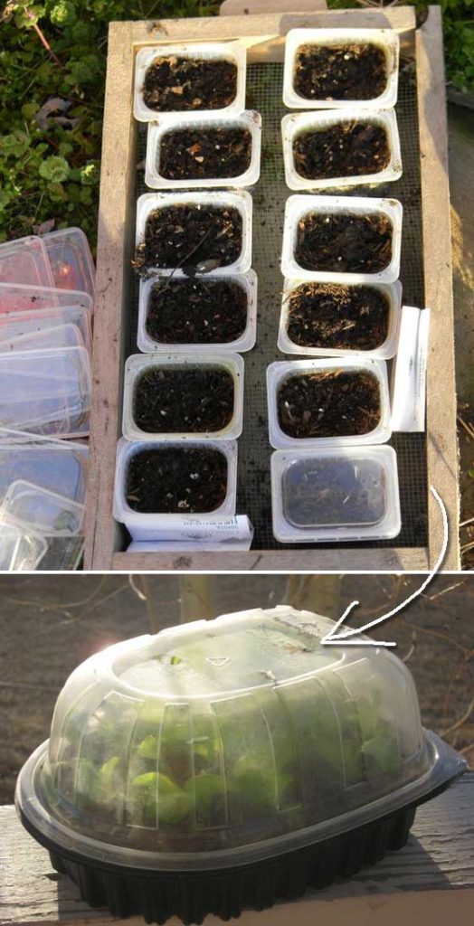 29+ Clever Ways To Reuse Old Food Or Drink Containers In 2024