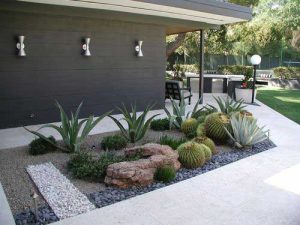 30+ Stunning Low-Water Landscaping Ideas & Designs For Your Yard