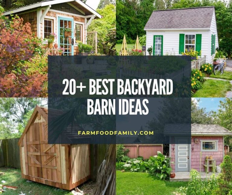 20+ Best Backyard Barn Ideas (With Plans) Will Help You Build a Shed
