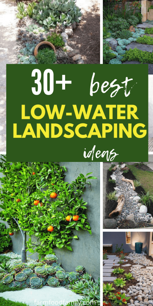 30+ Stunning Low-Water Landscaping Ideas & Designs For Your Yard