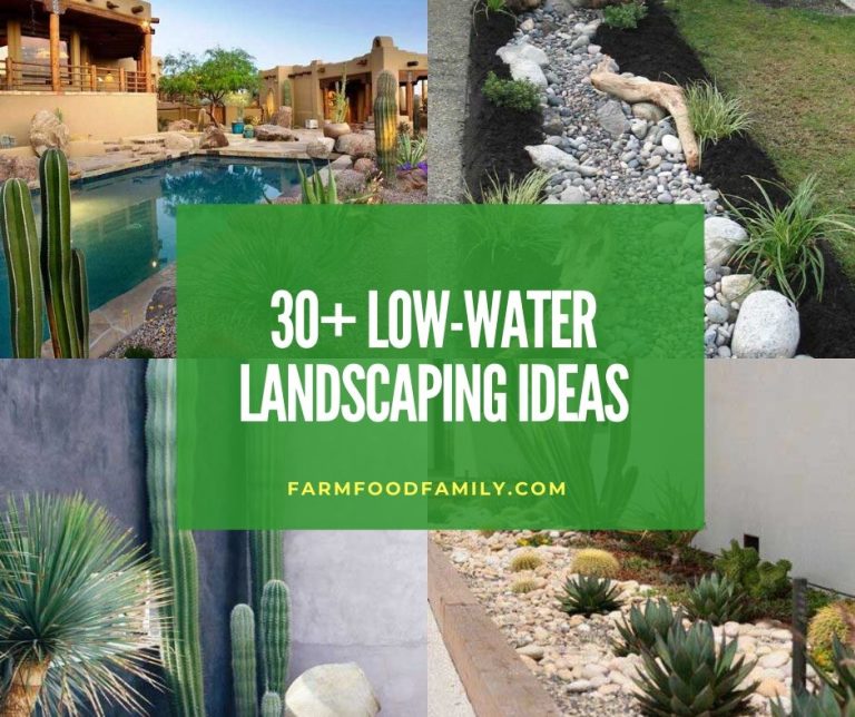 30+ Stunning Low-Water Landscaping Ideas & Designs For Your Yard