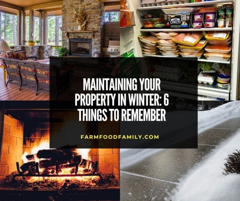 Maintaining your Property in Winter: 6 Things to Remember