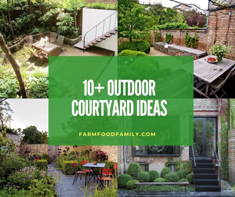 10 Chic Outdoor Courtyard Ideas To Try in Your Backyard For 2024