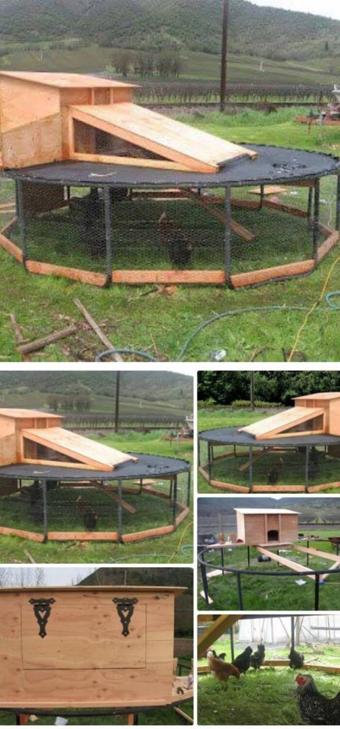 45+ Low-Budget DIY Backyard Chicken Coop Ideas (With Plans)