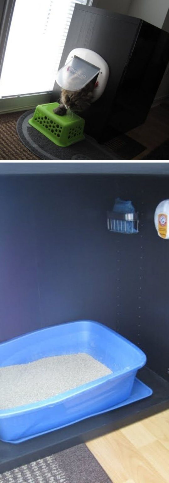 29+ Awesome DIY Ideas and Solutions For Hiding The Litter Box
