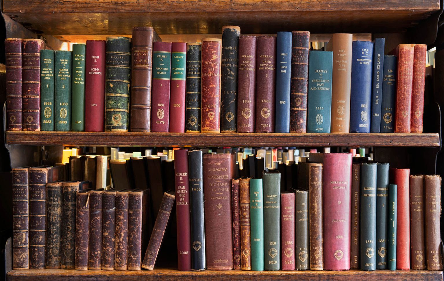 67+ Stunning Home Library Ideas and Designs For 2024