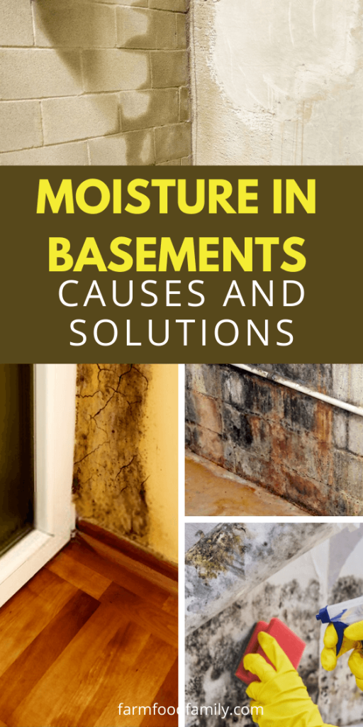 Moisture in Basements: Causes and Solutions - FarmFoodFamily