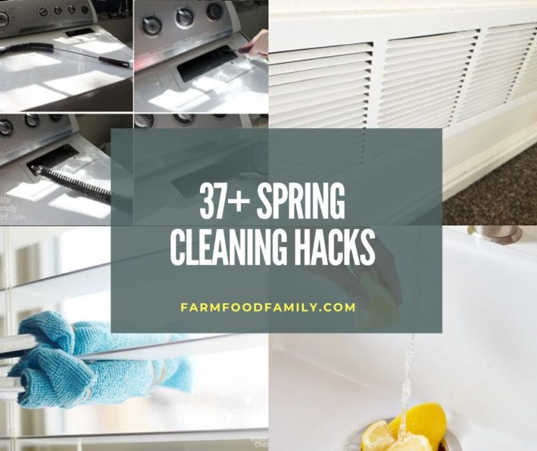 37+ Genius Spring Cleaning Hacks and Tips For Every Room (Natural Ways)
