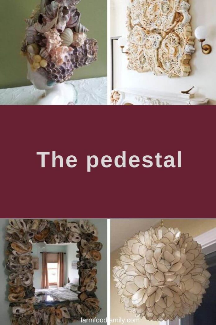 20+ Amazing DIY Shell Ideas and Designs For 2024