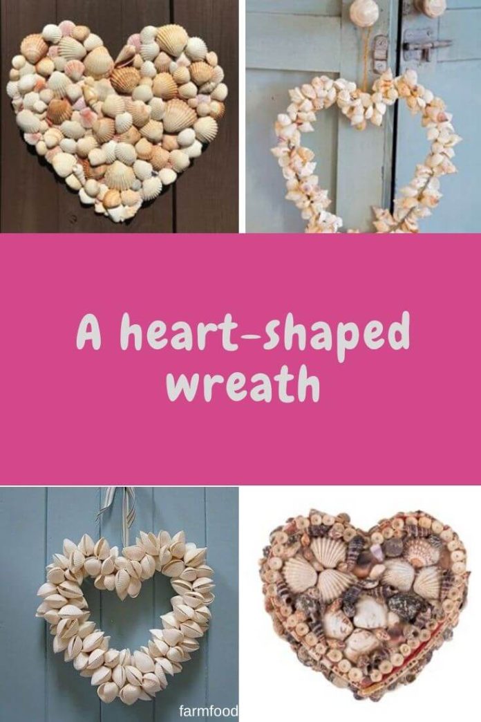 20+ Amazing DIY Shell Ideas and Designs For 2024