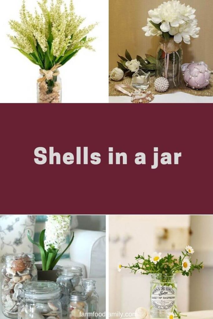 20+ Amazing DIY Shell Ideas and Designs For 2024