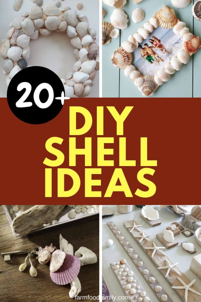 20+ Amazing DIY Shell Ideas and Designs For 2024