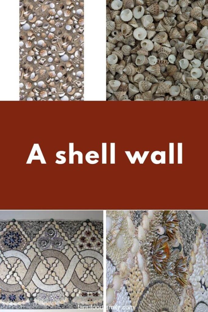20+ Amazing DIY Shell Ideas and Designs For 2024