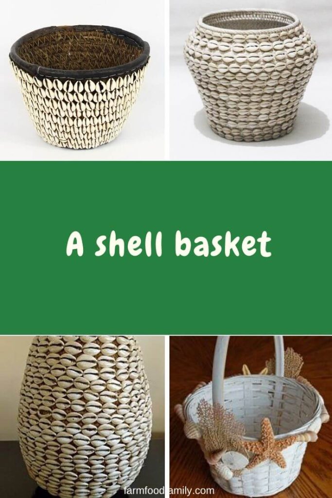 20+ Amazing DIY Shell Ideas and Designs For 2024