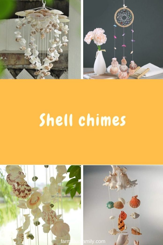 20+ Amazing DIY Shell Ideas and Designs For 2024
