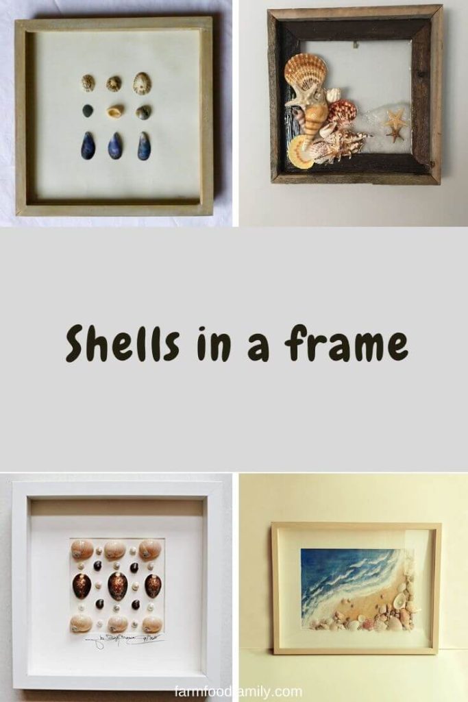 20+ Amazing DIY Shell Ideas and Designs For 2024