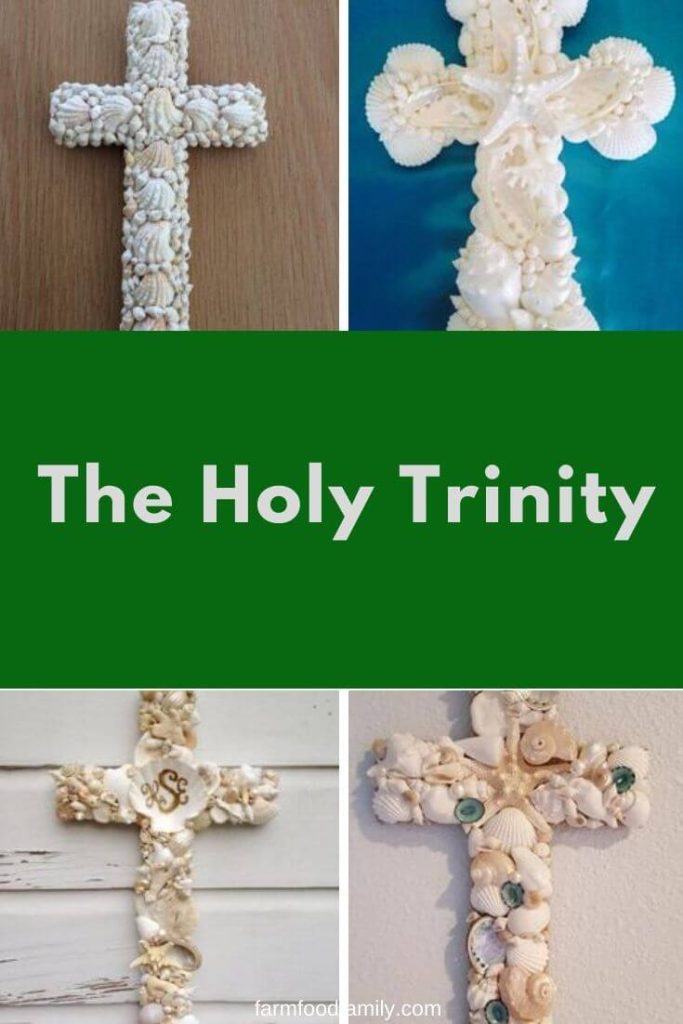 20+ Amazing DIY Shell Ideas and Designs For 2024