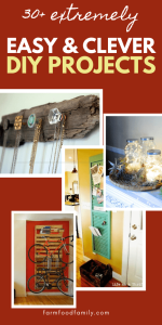 30+ Extremely Easy and Clever DIY Projects That Lazy People Will Love