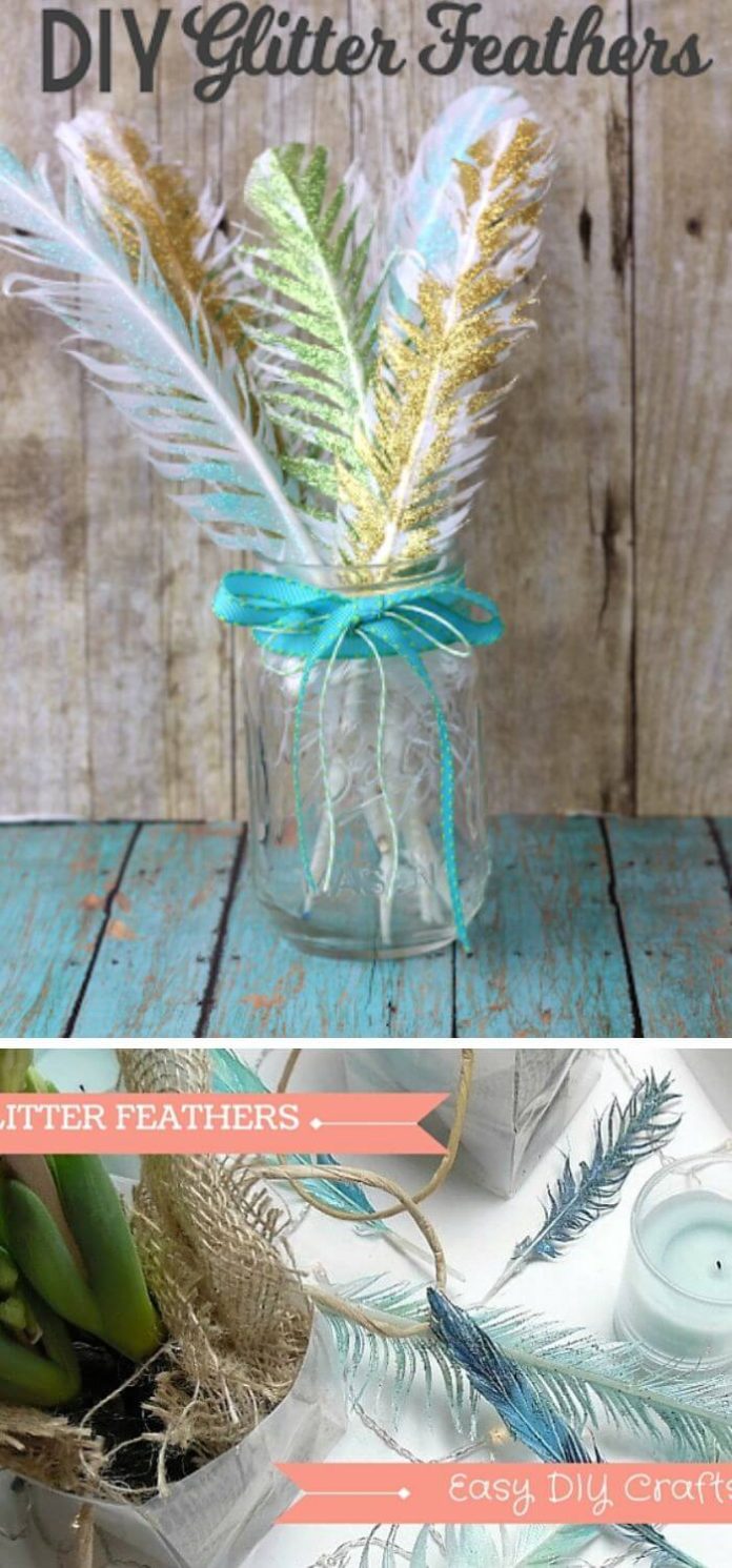 20 Lovely DIY Feather Craft Ideas and Projects For