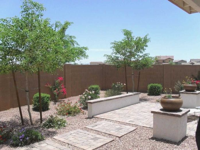 25+ Awesome Arizona Backyard Landscaping Ideas On A Budget (2024)
