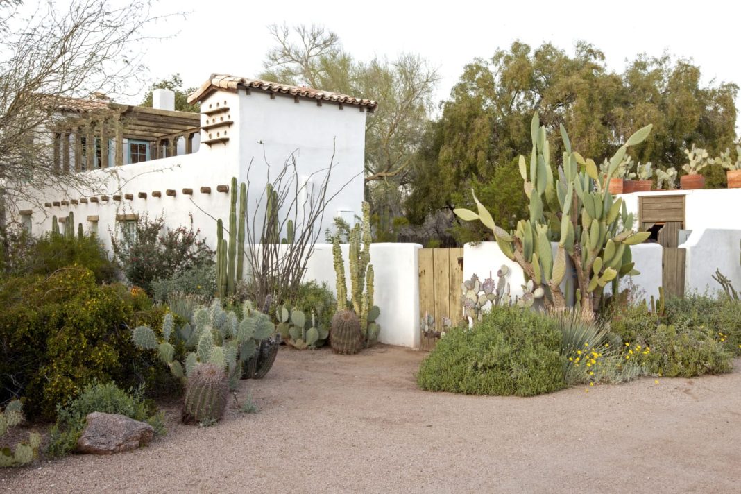 25+ Awesome Arizona Backyard Landscaping Ideas On A Budget (2024)