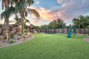 25+ Awesome Arizona Backyard Landscaping Ideas On A Budget (2024)