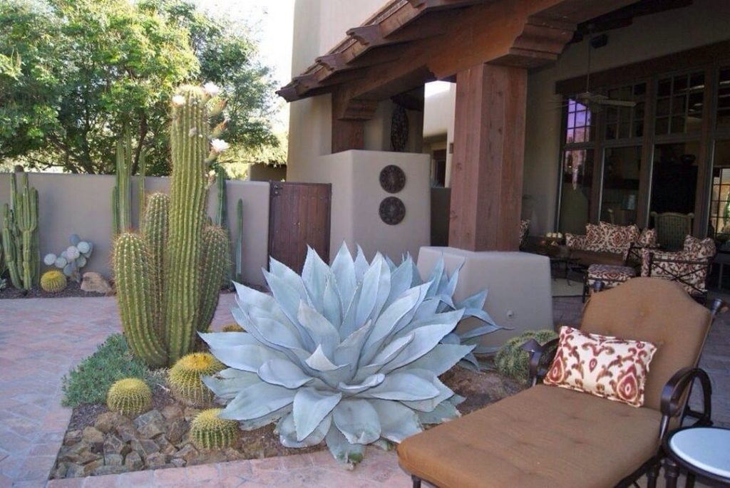 25+ Awesome Arizona Backyard Landscaping Ideas On A Budget (2024)