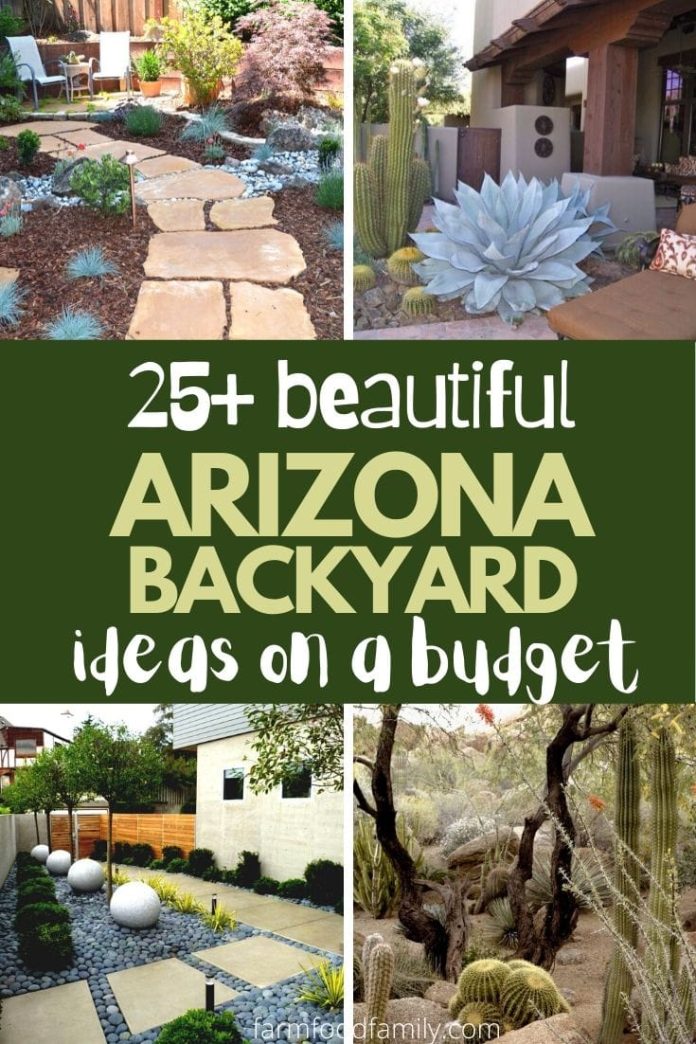 25+ Awesome Arizona Backyard Landscaping Ideas On A Budget (2024)