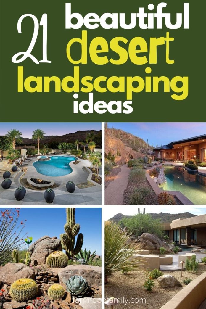 21+ Cheap Desert Backyard Landscaping Ideas - Drought Tolerant Gardens