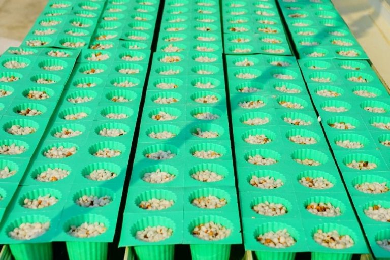 What Is Perlite? How To Use It In Your Garden [Ultimate Guide]