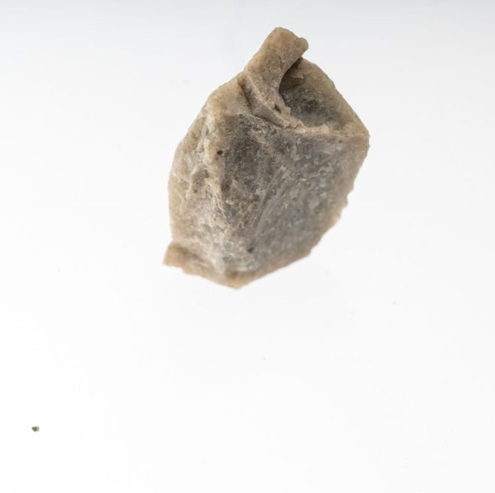 What Is Perlite? How To Use It In Your Garden [Ultimate Guide]