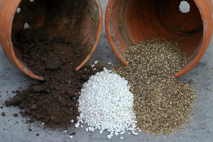 What Is Perlite? How To Use It In Your Garden [Ultimate Guide]