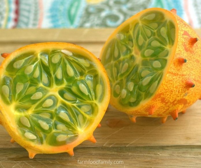 40+ Different Types of Melons With Pictures and Fun Facts