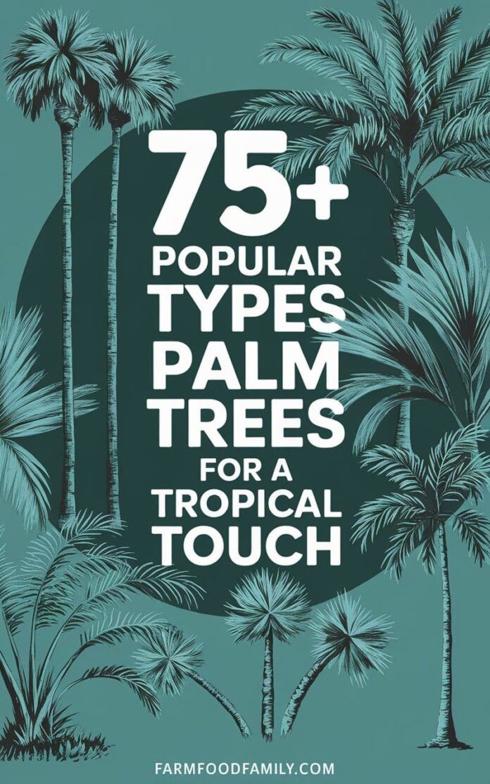 75+ Different Types Of Palm Trees With Pictures (Indoor, Outdoor)
