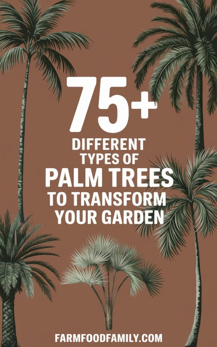 75+ Different Types Of Palm Trees With Pictures (Indoor, Outdoor)