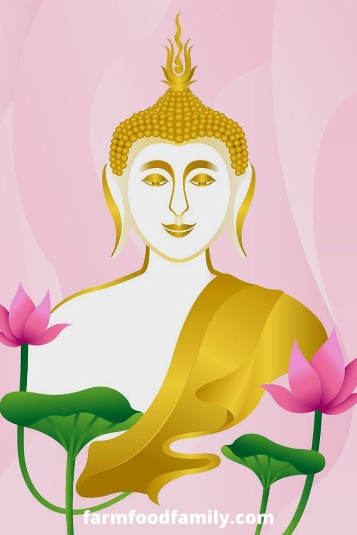 💮 Lotus Flower Meaning, Symbolism and Colors - Buddhist Symbol Of Purity