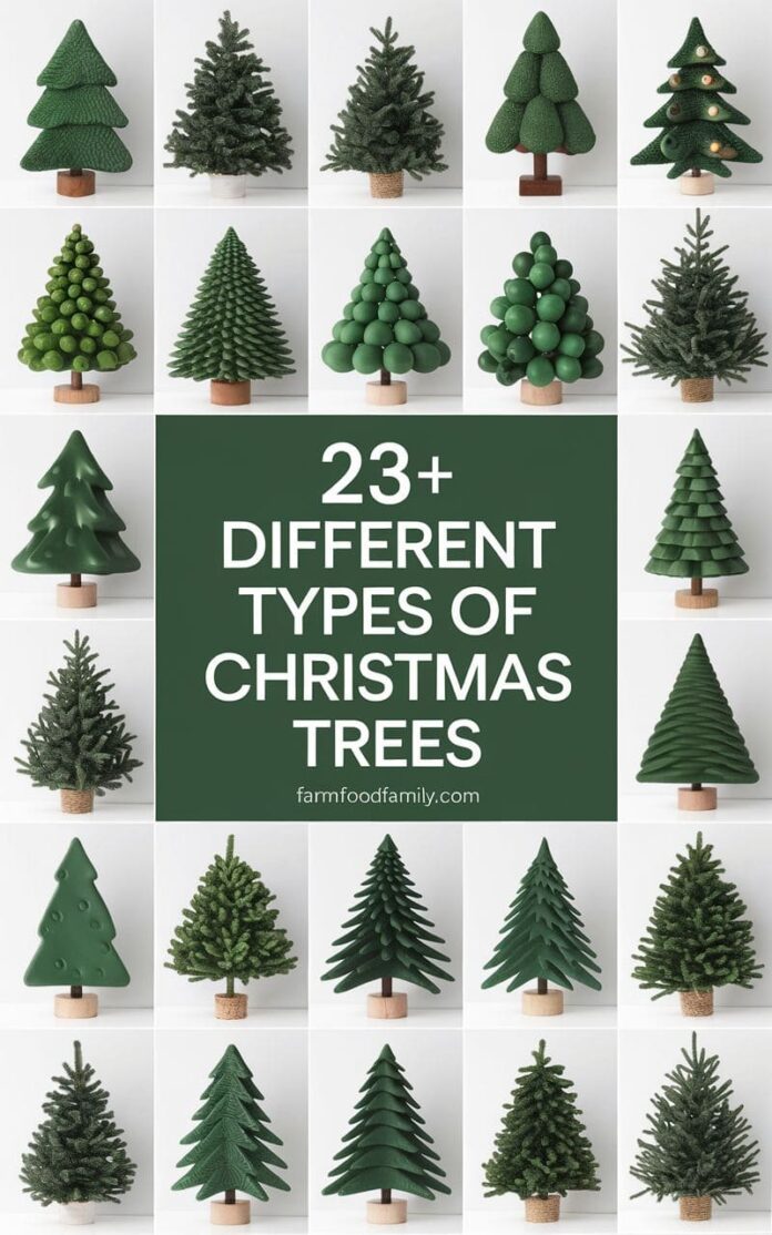 23+ Different Types Of Christmas Trees (With Pictures & Advantages)