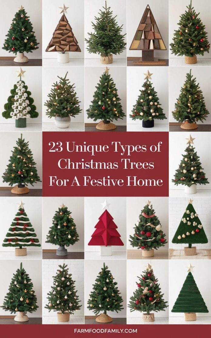 23+ Different Types Of Christmas Trees (With Pictures & Advantages)