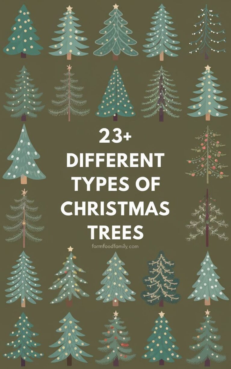 23+ Different Types Of Christmas Trees (With Pictures & Advantages)