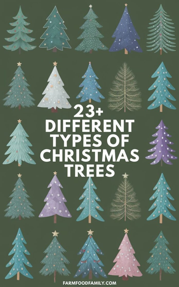 23+ Different Types Of Christmas Trees (With Pictures & Advantages)