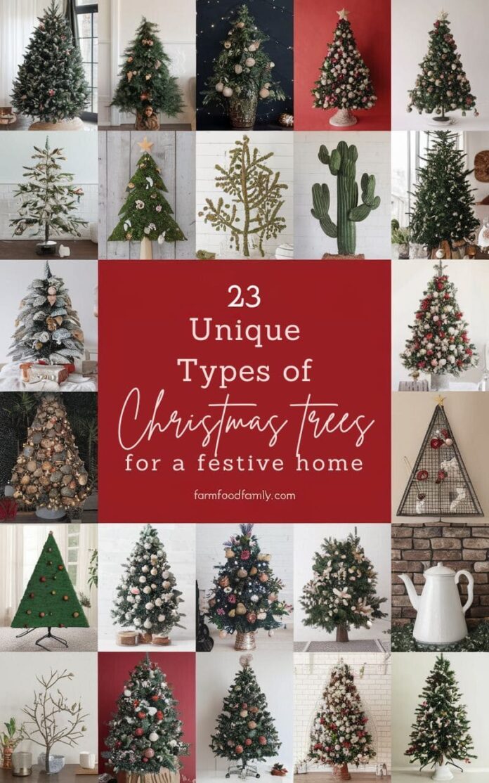 23+ Different Types Of Christmas Trees (With Pictures & Advantages)