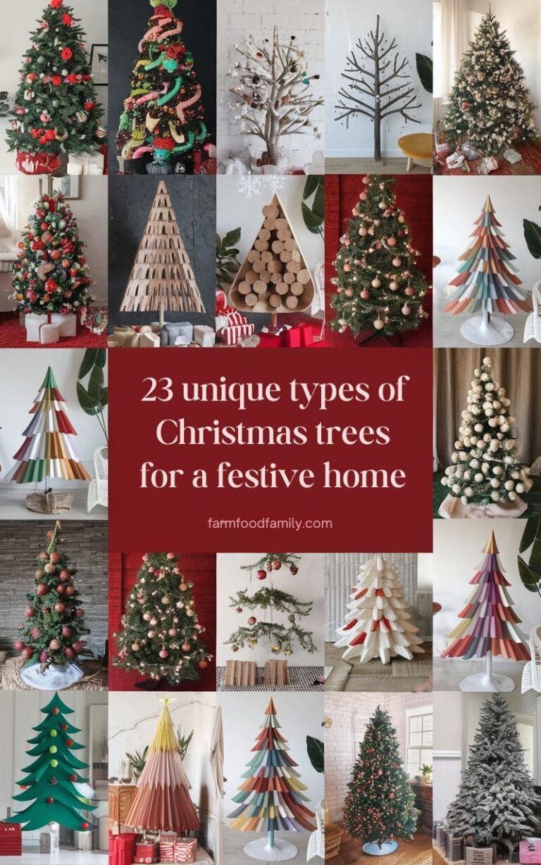 23+ Different Types Of Christmas Trees (With Pictures & Advantages)
