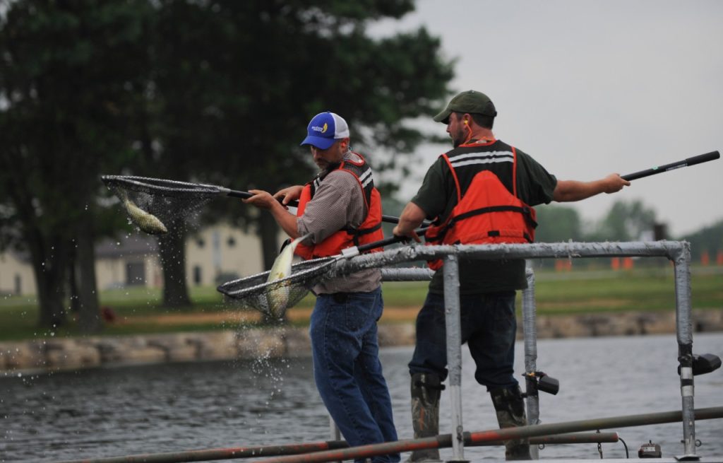 Electrofishing: What is Electrofishing? Benefits & Detailed Explanation