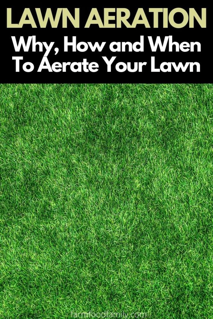 Lawn Aeration Guide: Does Aerating Lawn Make A Difference?