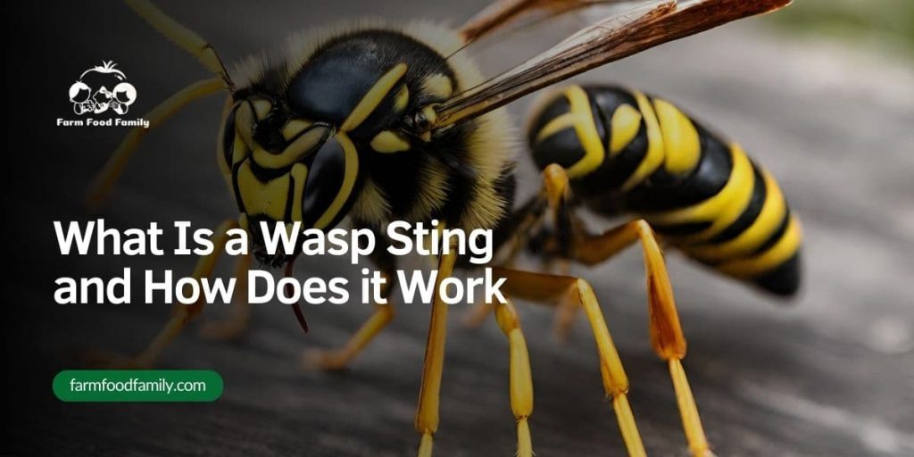 What Is a Wasp Sting and How Does it Work - FarmFoodFamily