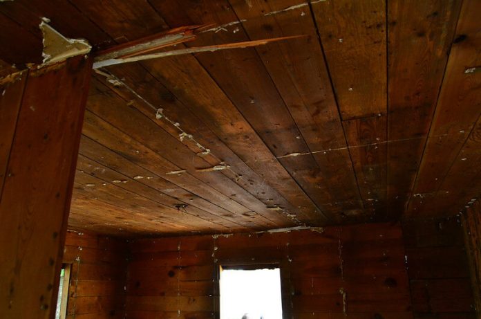 24 Drywall Alternatives For Your Walls, Basement, Ceiling and More