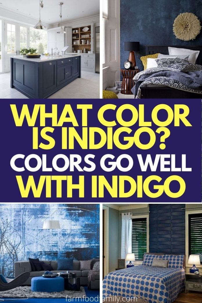 What Color is Indigo Blue? Colors Go Well With Indigo For Interior Design
