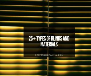 25 Types Of Blinds and Materials With Pictures (Buying Guide 2024)
