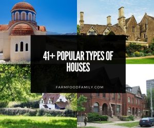 41+ Different Types of Houses With Names, Definition, and Pictures