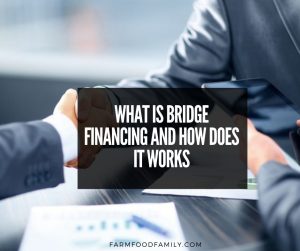 What Is Bridge Financing: Varieties, Benefits, and How It Works